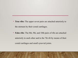 2. Typical and atypical ribs anatomy.pptx