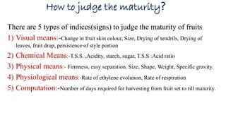 2. Maturity Indices of Fruits&Vegetables | PDF