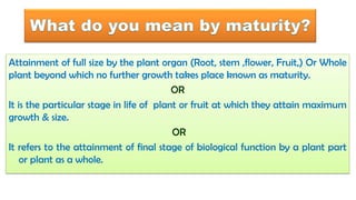 2. Maturity Indices of Fruits&Vegetables | PDF