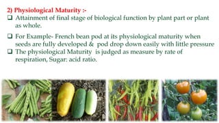 2. Maturity Indices of Fruits&Vegetables | PDF