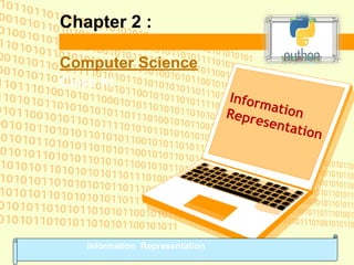 2. Data Representation class 11.pptx.pdf