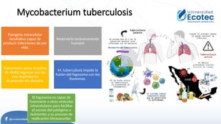 Comprehensive Overview of Mycobacterium Tuberculosis: Structure ...