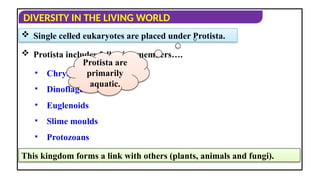 2.KINGDOM power point presentation PROTIST.pptx