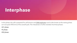 Comprehensive Overview of the Cell Cycle and Its Phases | PDF