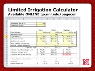 Limited Irrigation and Your Bottom Line | PPTX