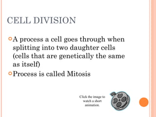 Cells PowerPoint | PPT