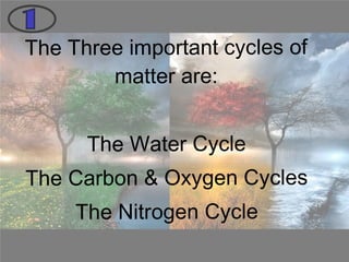 2.2 Cycles Of Matter | ODP