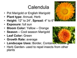 2 2 Hort Life Cycles & Names | PPT