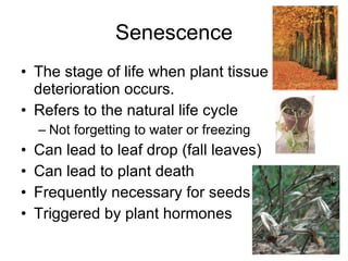 2 2 Hort Life Cycles & Names | PPT