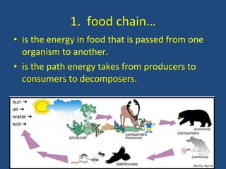 Interactions Among Living Things