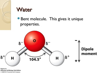 2-2: Properties of Water | PPS
