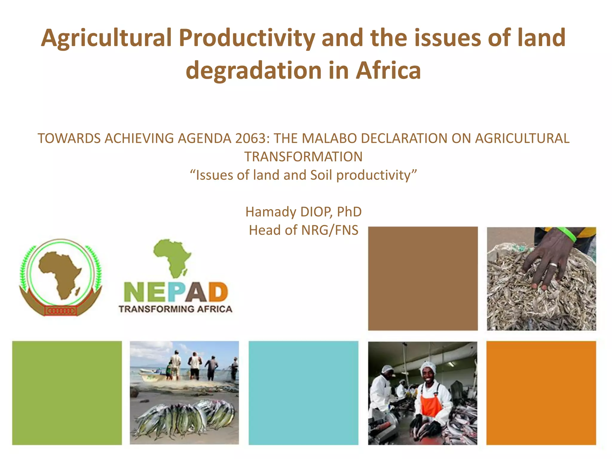 Agricultural Productivity and the issues of land degradation in Africa ...