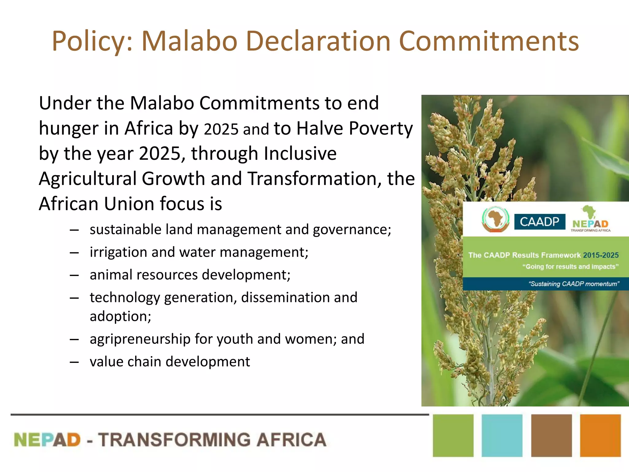 Agricultural Productivity and the issues of land degradation in Africa ...