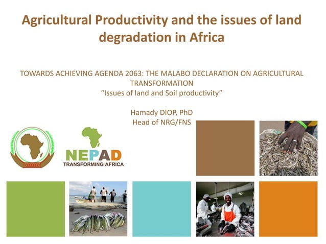 Agricultural Productivity and the issues of land degradation in Africa ...