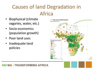 Agricultural Productivity and the issues of land degradation in Africa ...