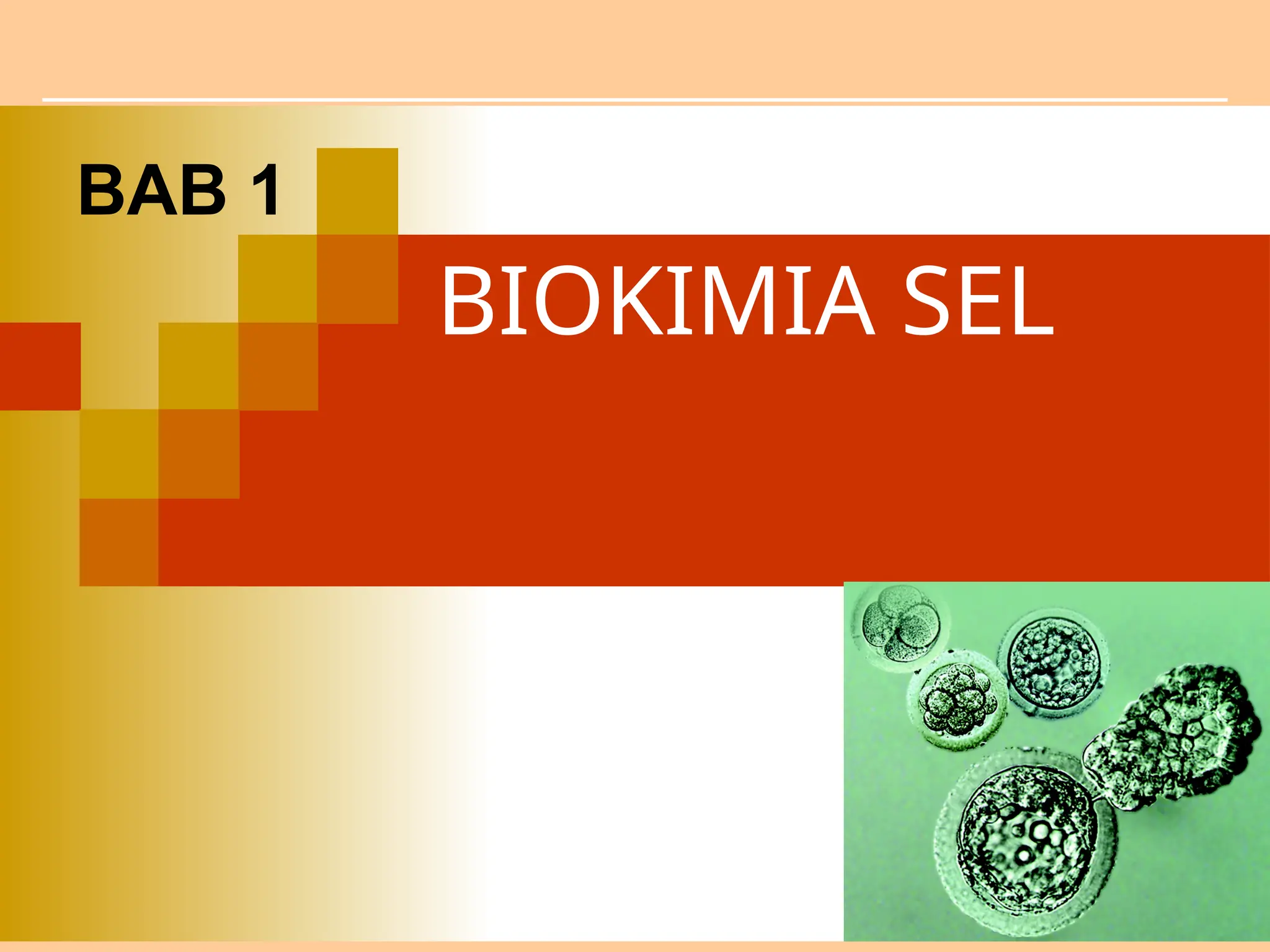 2-3. BIOKIMIA_SEL dalam tubuh manusia.ppt