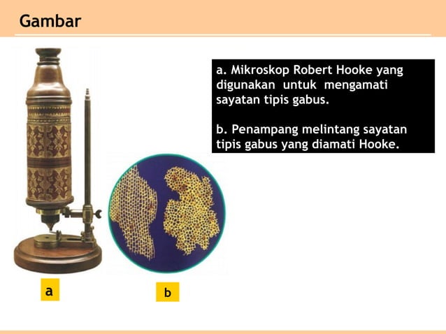 2-3. BIOKIMIA_SEL dalam tubuh manusia.ppt
