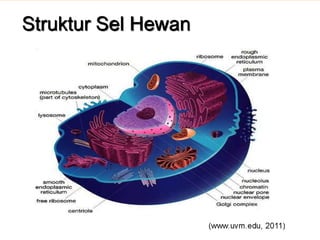 2-3. BIOKIMIA_SEL dalam tubuh manusia.ppt
