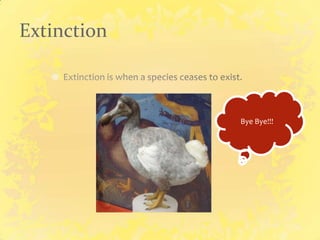 OCR AS Biology Unit 2 Module 3 Extinction + Conservation | PPT