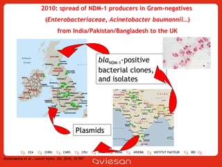 2.3 marie-cécile ploy | PPT
