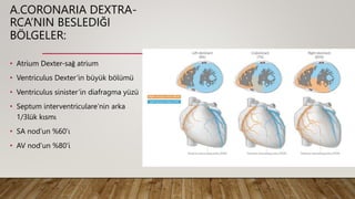2-3-mediastinum ve kalp.pptx