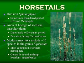2 3-plants in general | PDF
