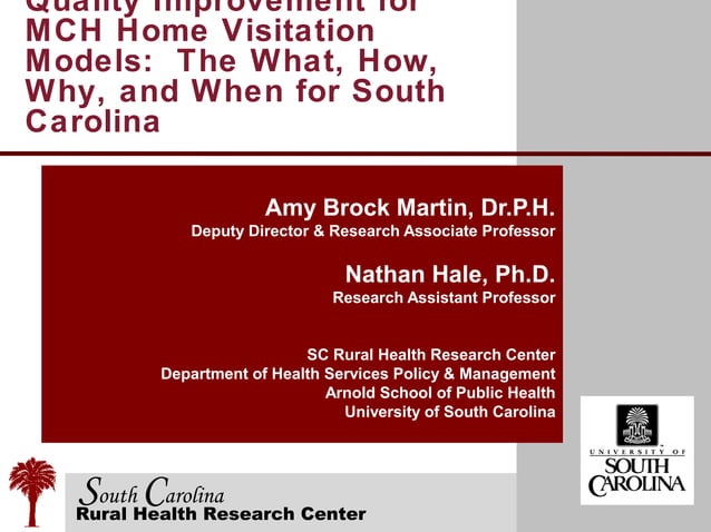 Quality Improvement for Maternal Child Health Home Visiting Models | PPT