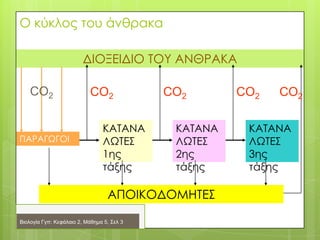 Βιογεωχημικοί κυκλοι | PPTX
