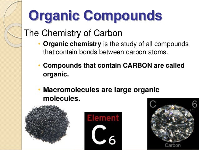 2-3: Carbon Compounds