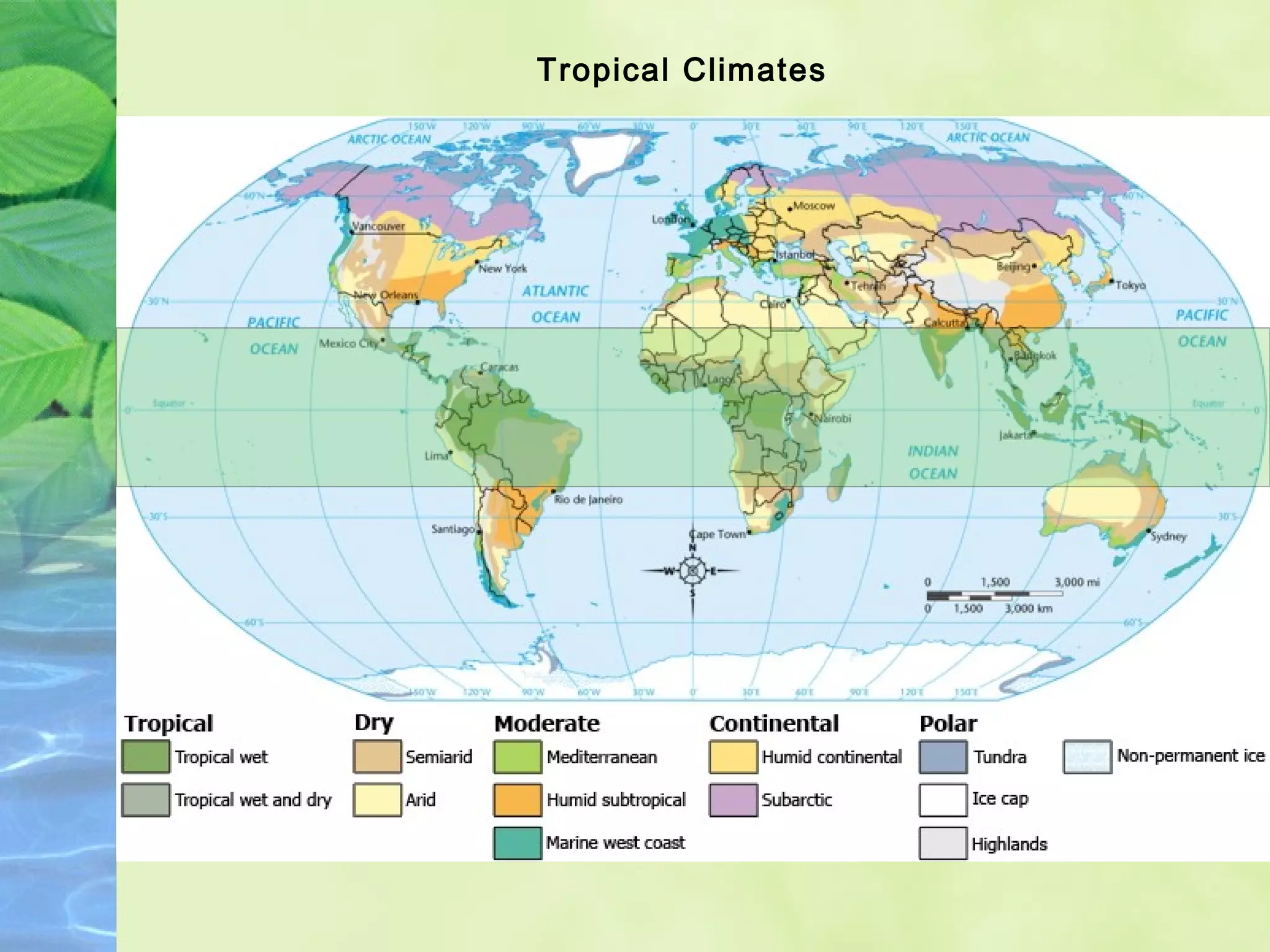 2-3 Climate Zones & Vegetation | PPT | Weather | Science