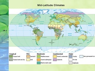 2-3 Climate Zones & Vegetation | PPT