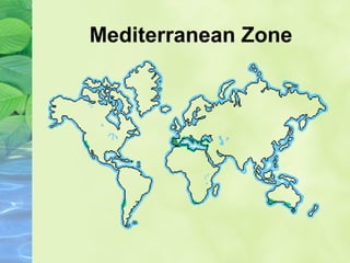2-3 Climate Zones & Vegetation | PPT