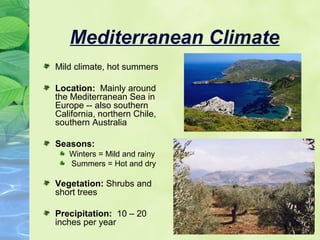 2-3 Climate Zones & Vegetation | PPT