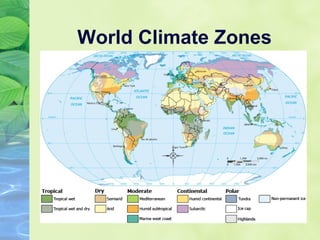 2-3 Climate Zones & Vegetation | PPT