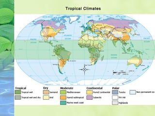 2-3 Climate Zones & Vegetation | PPT