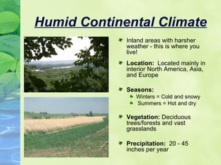 Humid Continental Vegetation