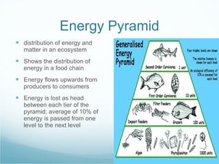 2.3 ecology notes | PPT