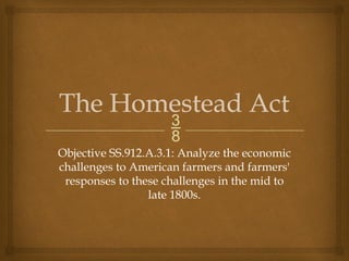 Homestead Act - US History (Activity 2-3) | PPTX
