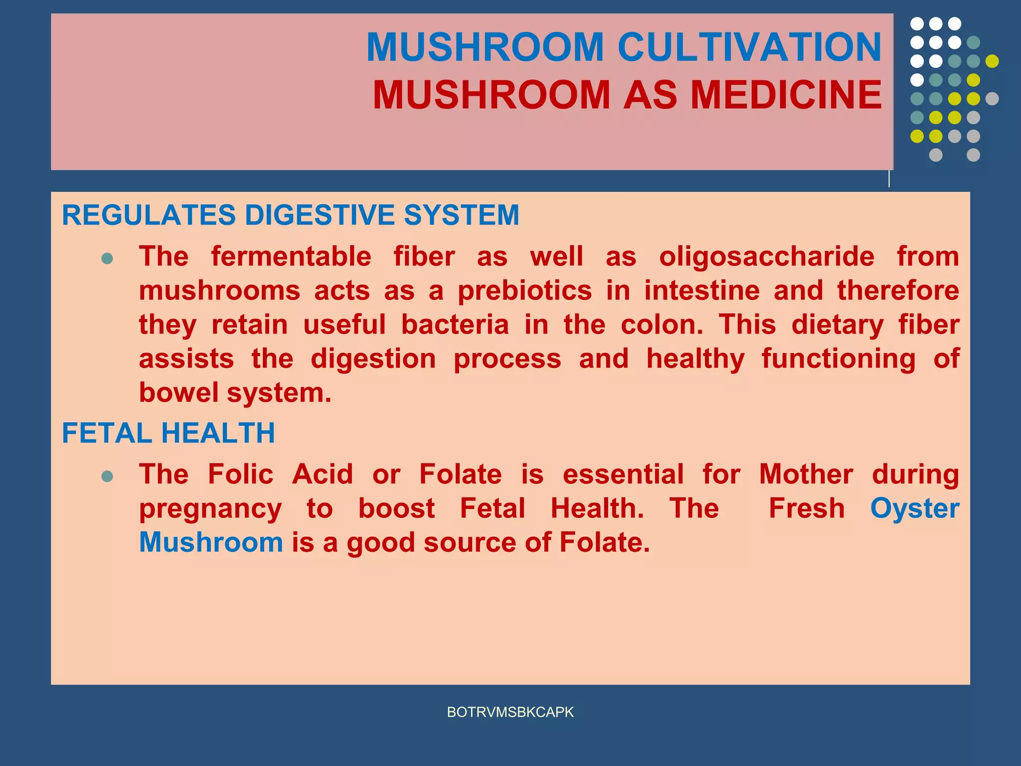 2 3 mushroom as medicine | PDF