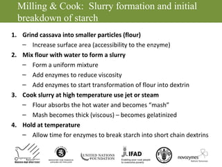 2.3 session by tuxen novozymes cassava-presentation | PPT | Agriculture ...