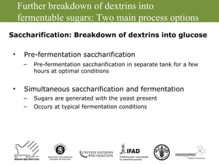 2.3 session by tuxen novozymes cassava-presentation | PPT | Agriculture ...