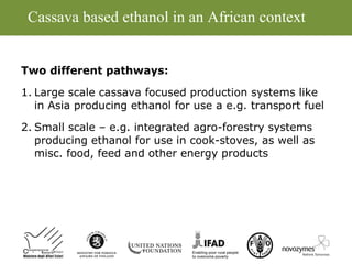 2.3 session by tuxen novozymes cassava-presentation | PPT | Agriculture ...
