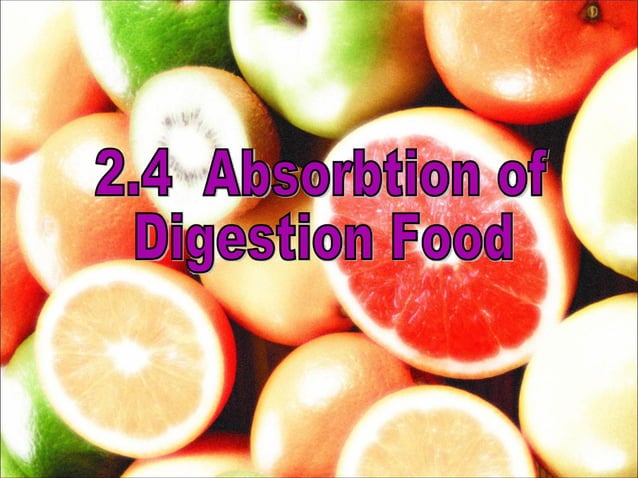 2.4 Absorption of Digested Food | PPT