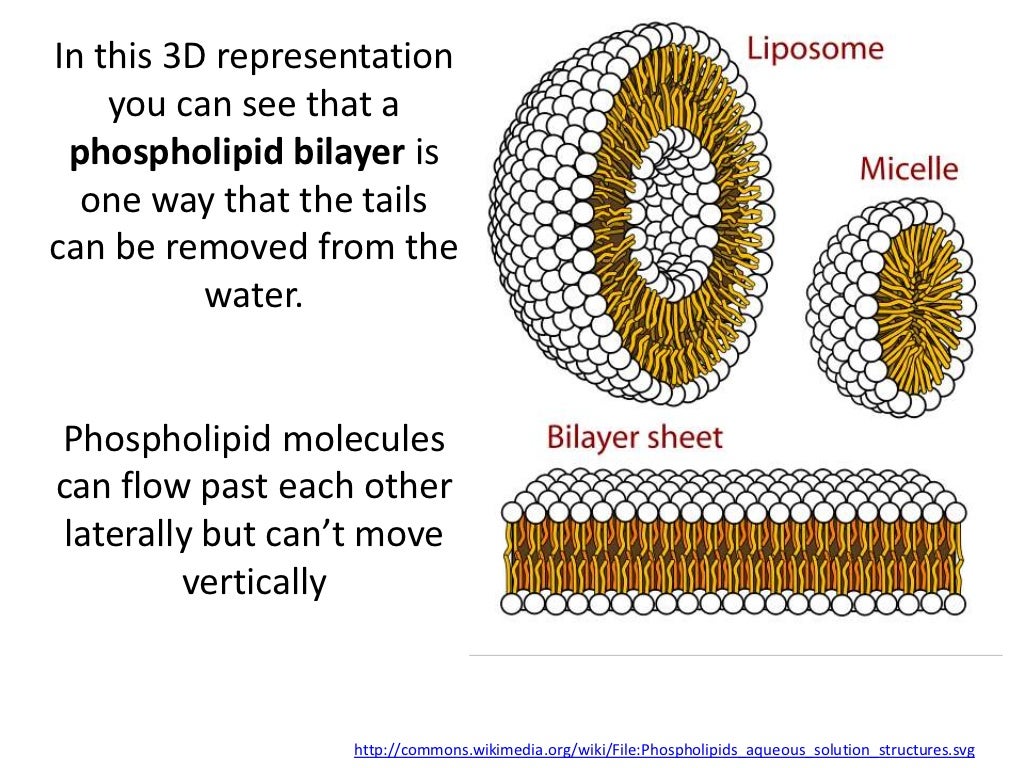 in-this-3d-representation-you