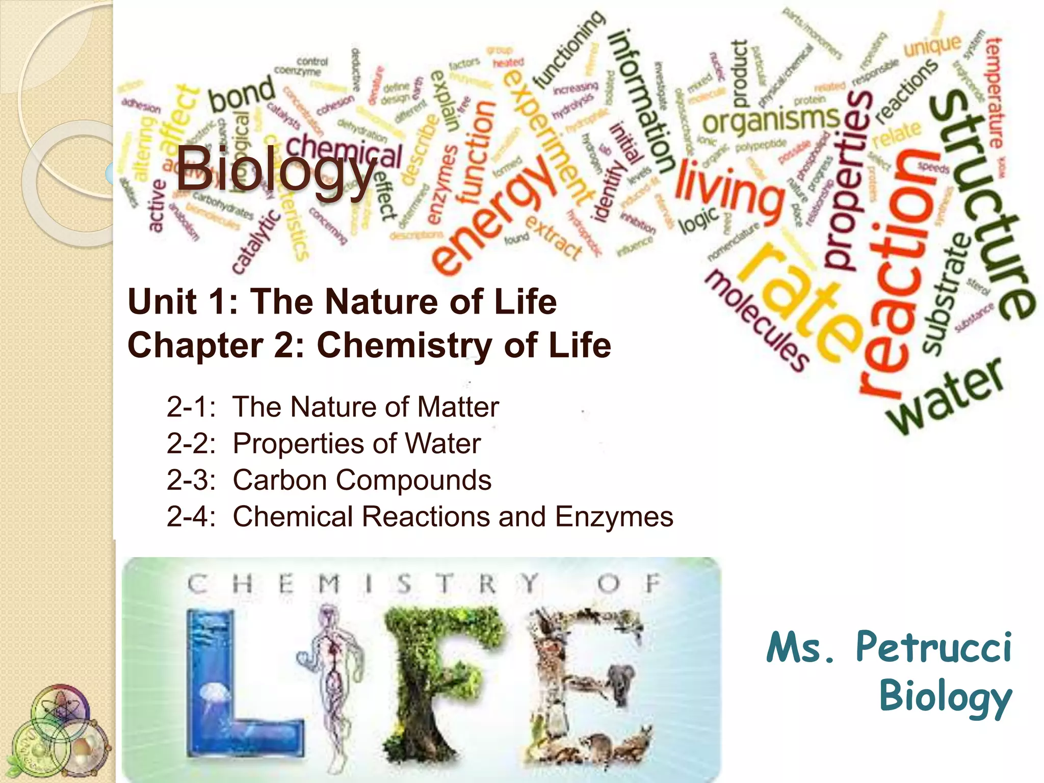 2-4: Chemical Reactions and Enzymes | PPTX
