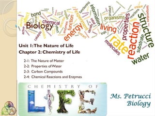 2-4 Chemical Reactions and Enzymes PPT.pptx
