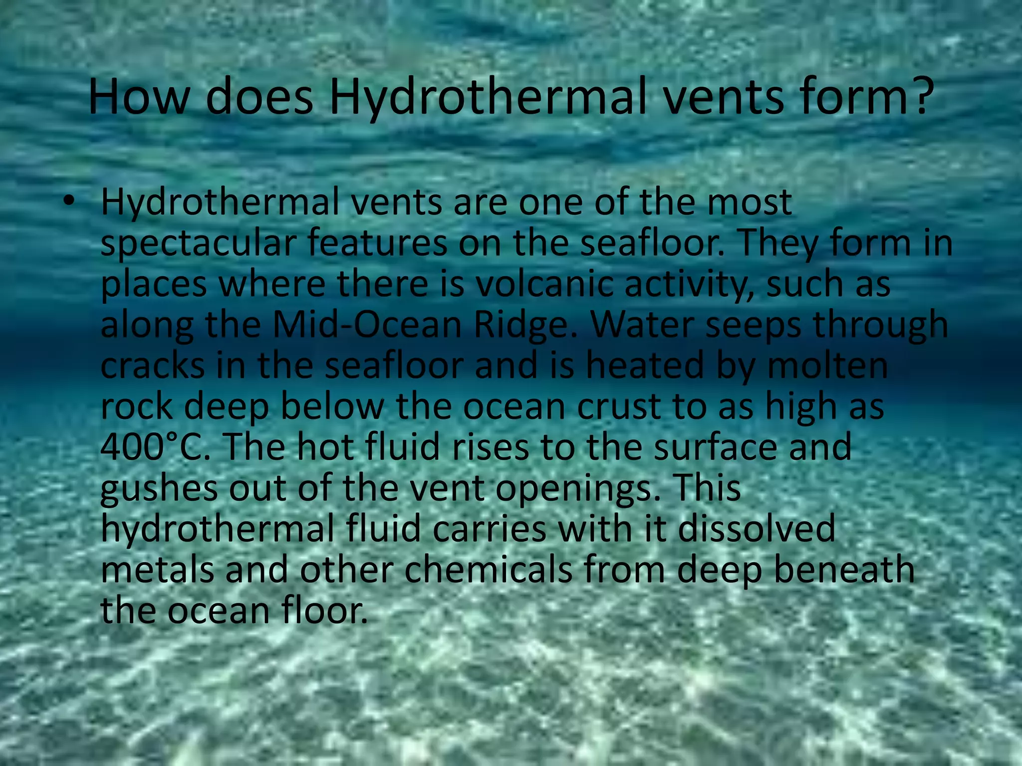 2.5.2 hydrothermal vents | PPTX