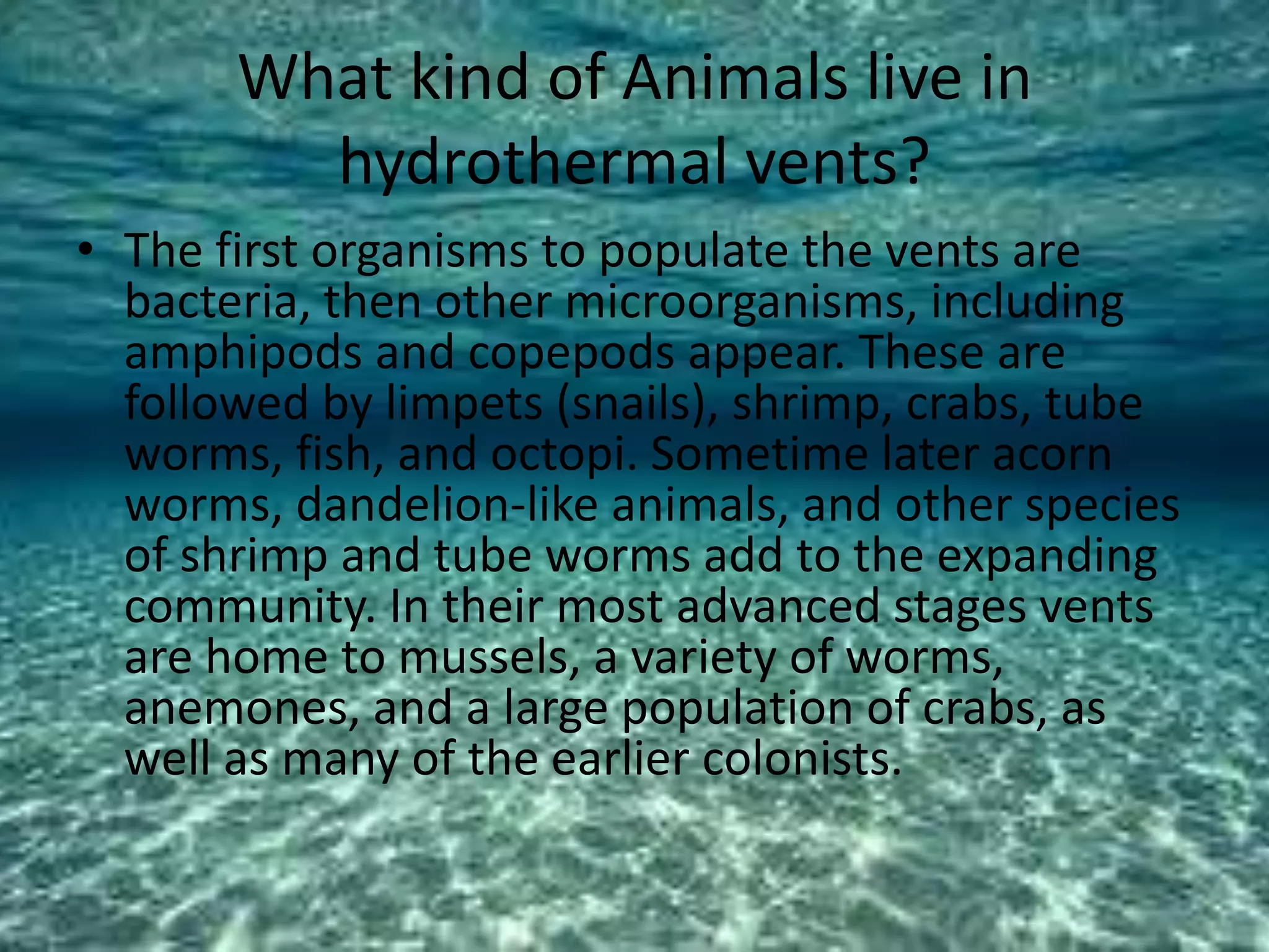 2.5.2 hydrothermal vents | PPTX