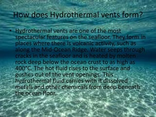 2.5.2 hydrothermal vents | PPTX