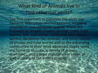 2.5.2 hydrothermal vents | PPTX